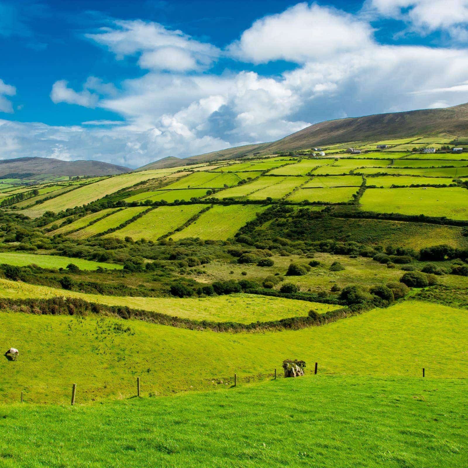 Fertilizer application rules has changed in Northern Ireland ...