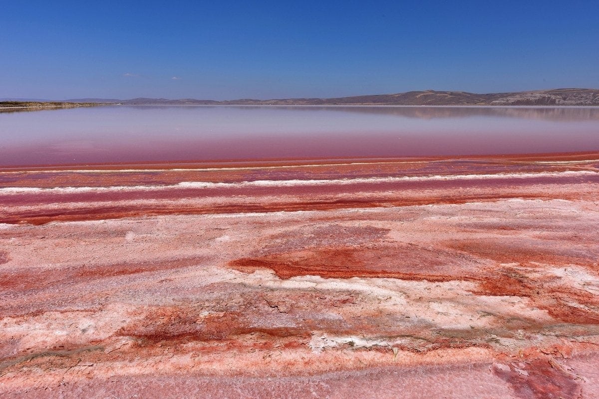 Helm has become Salt Lake Potash’s customer — Fertilizer Daily