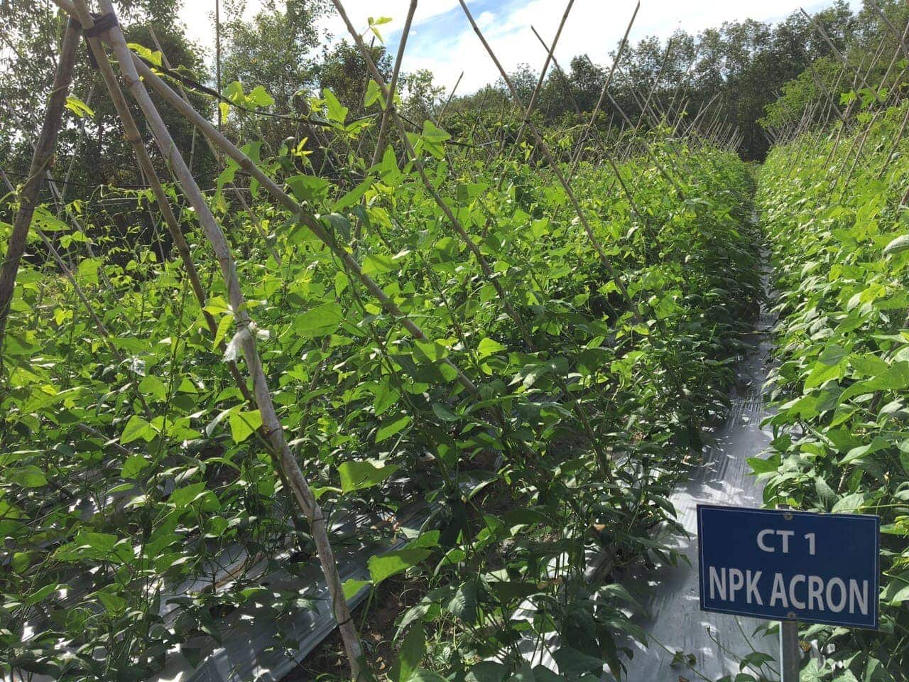 Acron Group releases 2022 ESG report — Fertilizer Daily