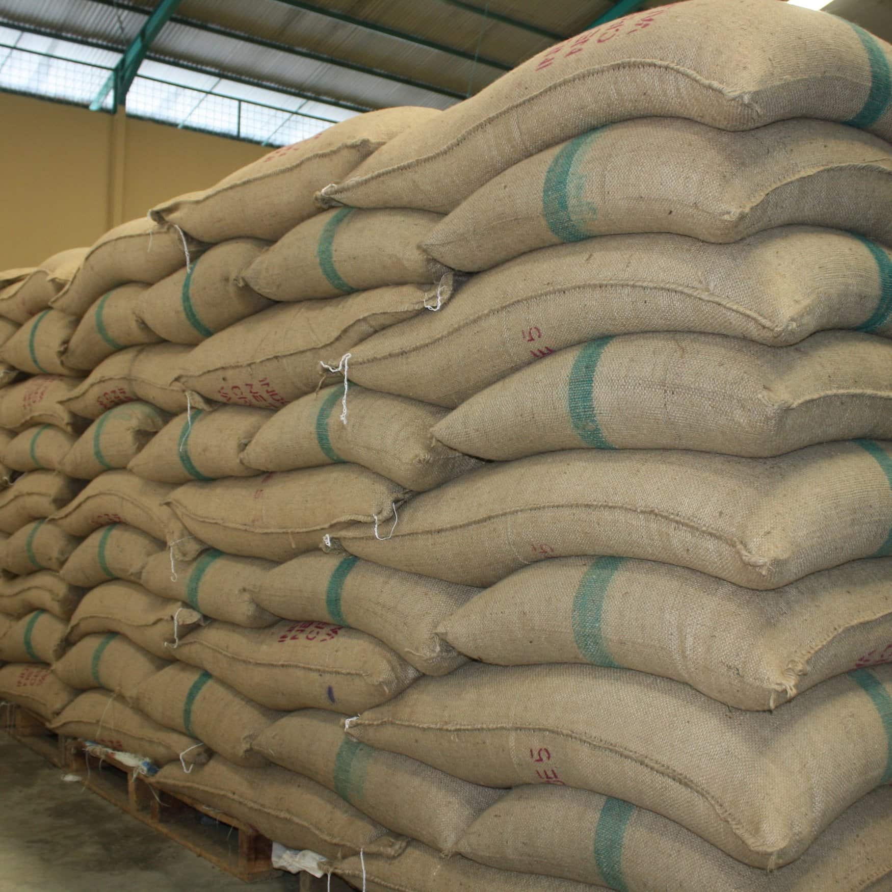 Russia will increase the export of nitrogen fertilizers until the end ...