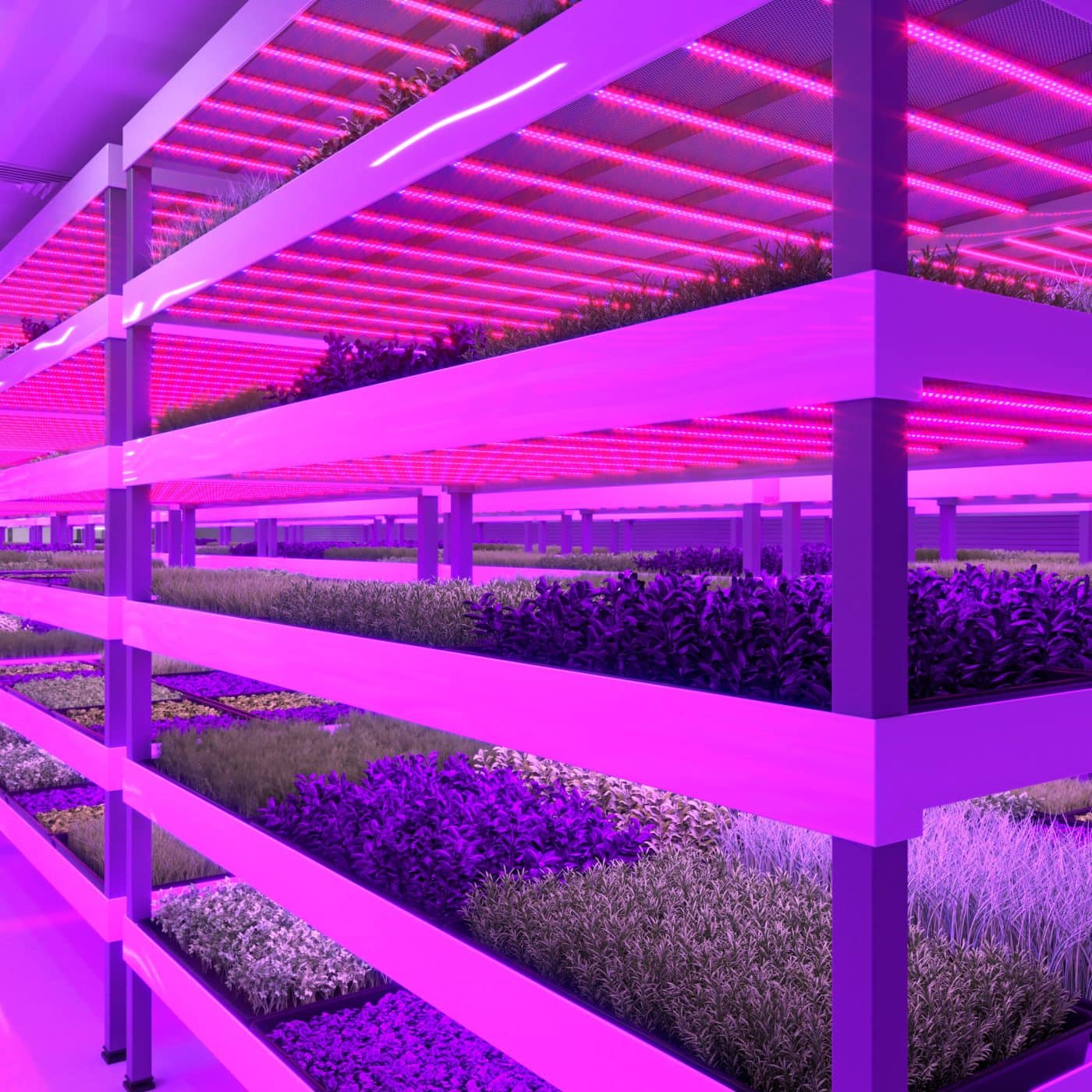 ReFarm to build vertical ‘gigafarm’ in Dubai — Fertilizer Daily