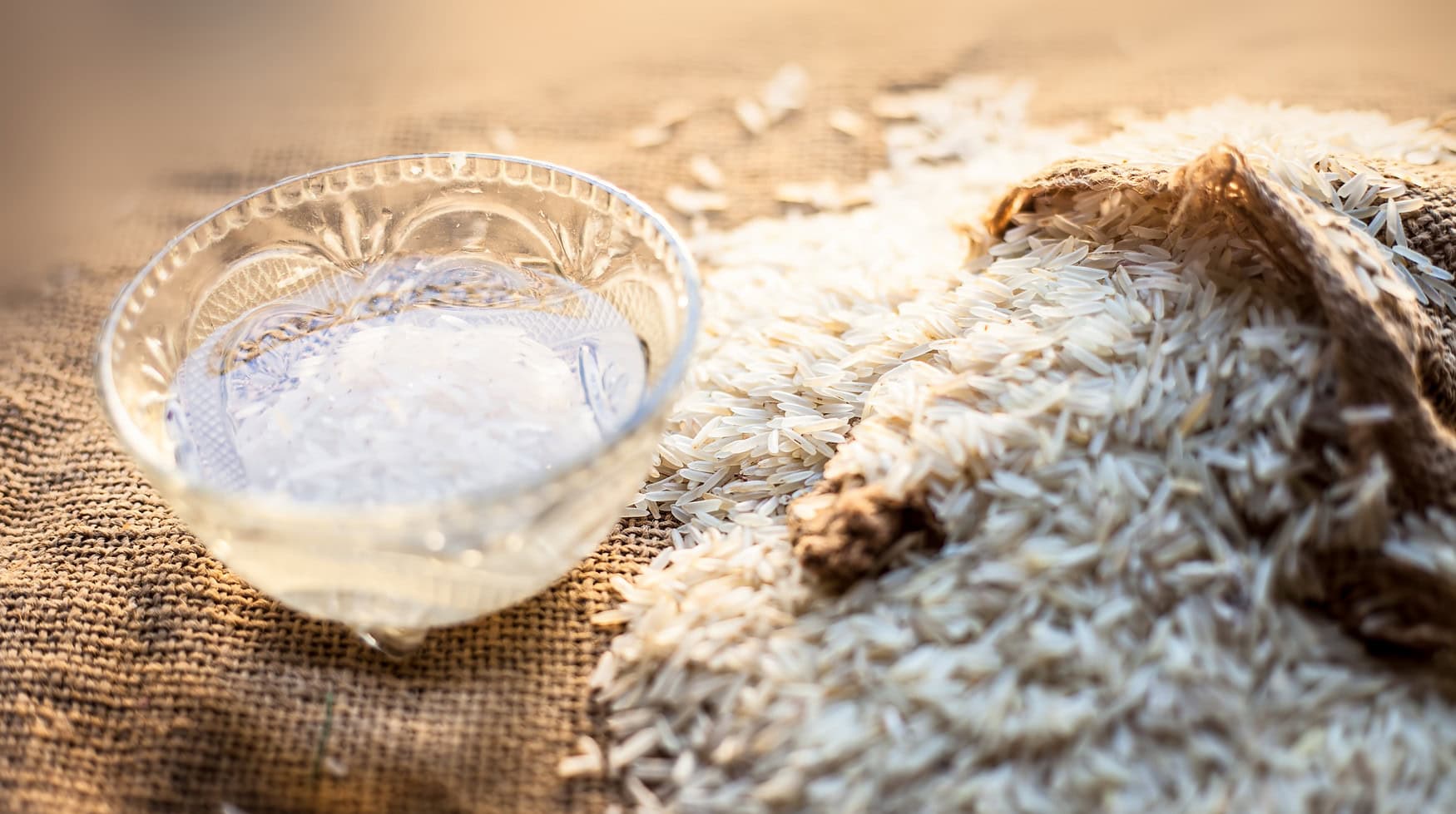 Rice water: a natural booster for plant growth — Fertilizer Daily