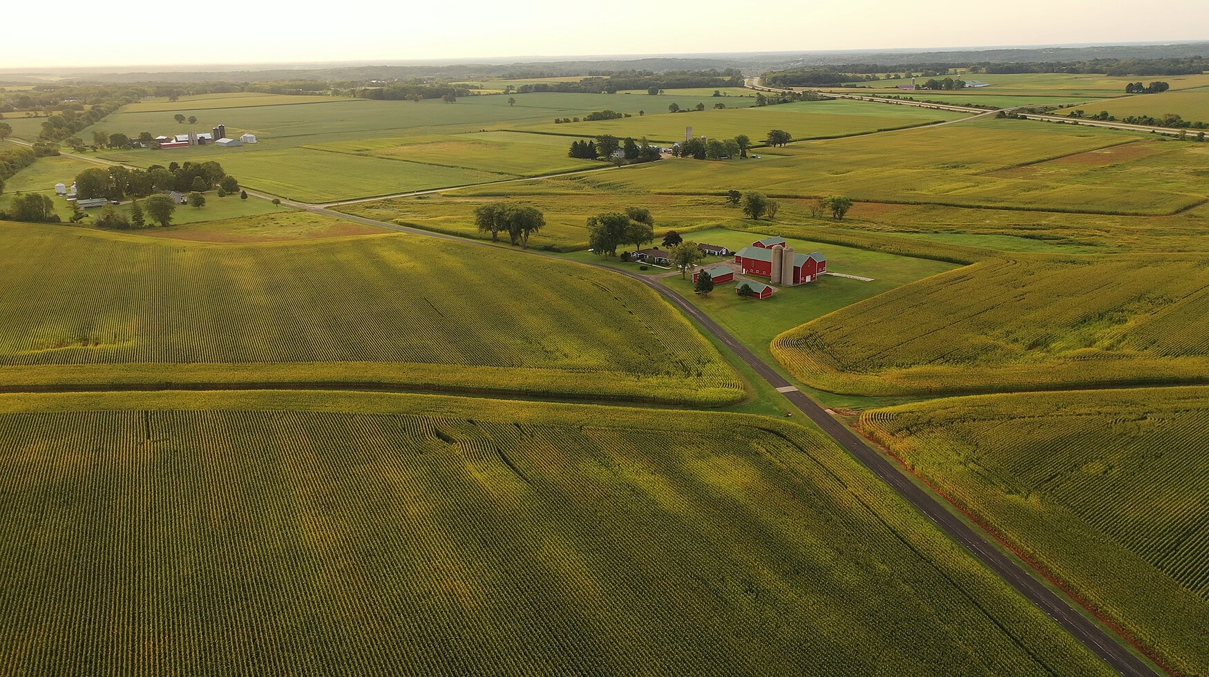 USDA census highlights the consolidation of Minnesota farms ...