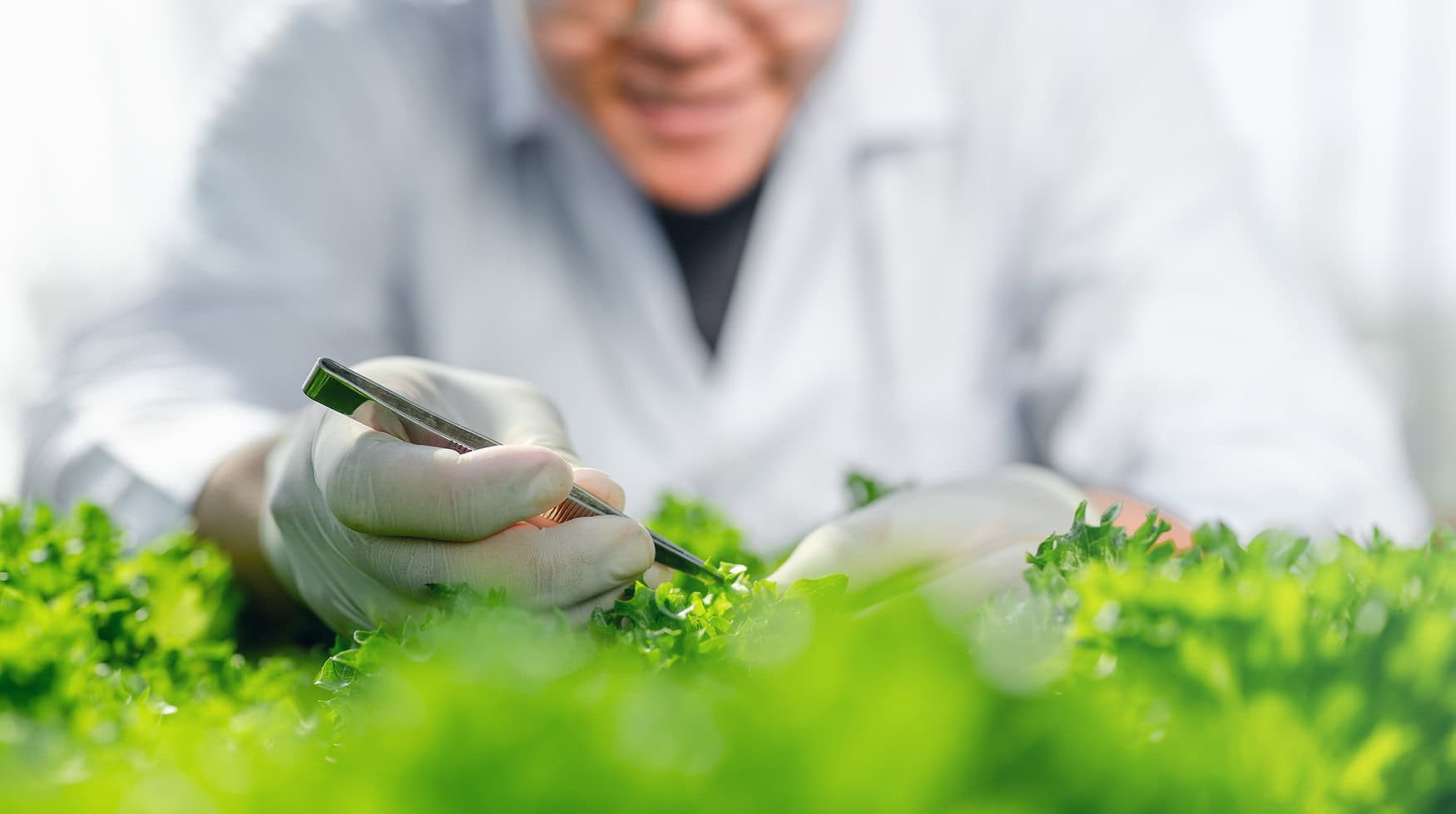 $23 million boost for horticultural research in Canada — Fertilizer Daily