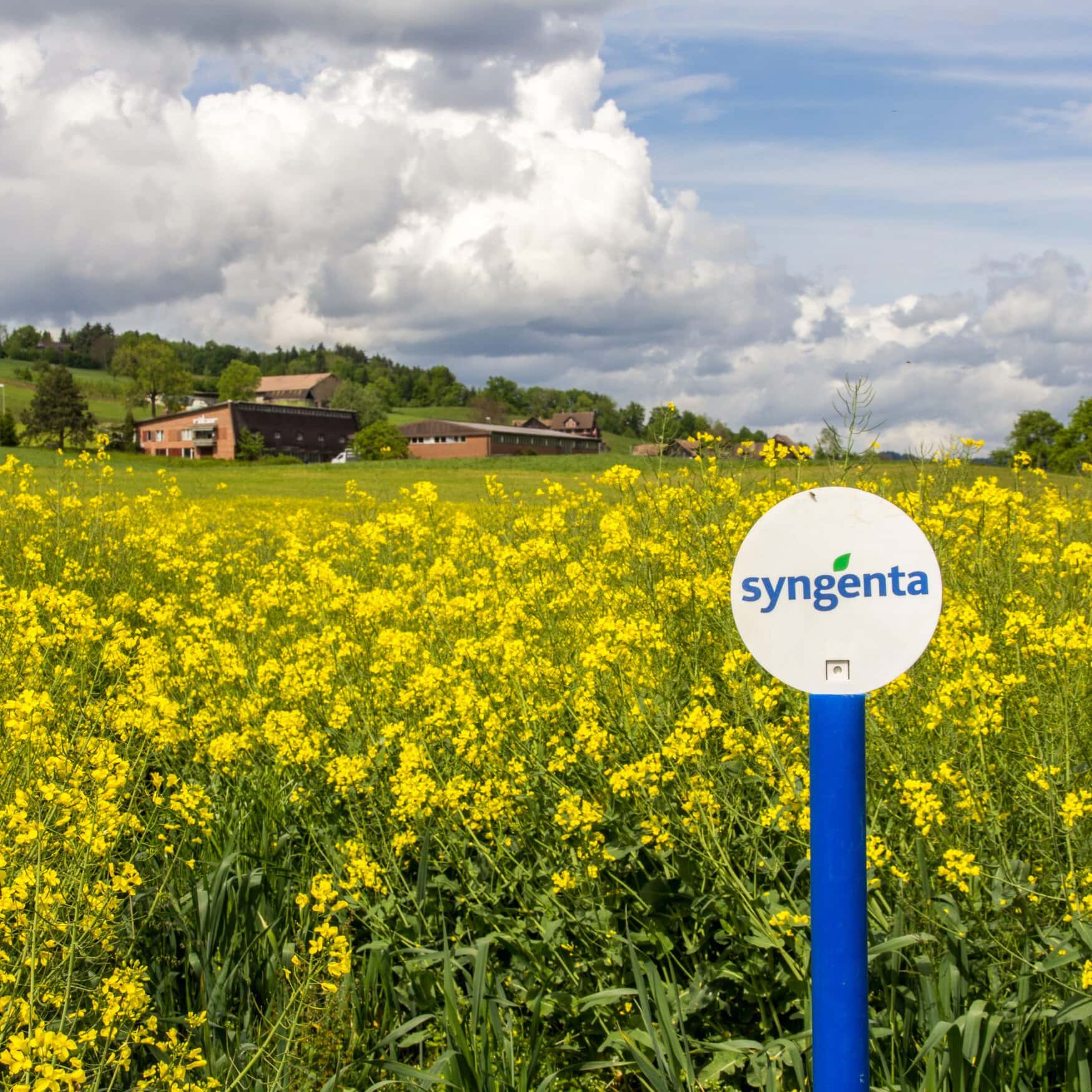 Syngenta partners with Intrinsyx Bio for sustainable farming innovation ...