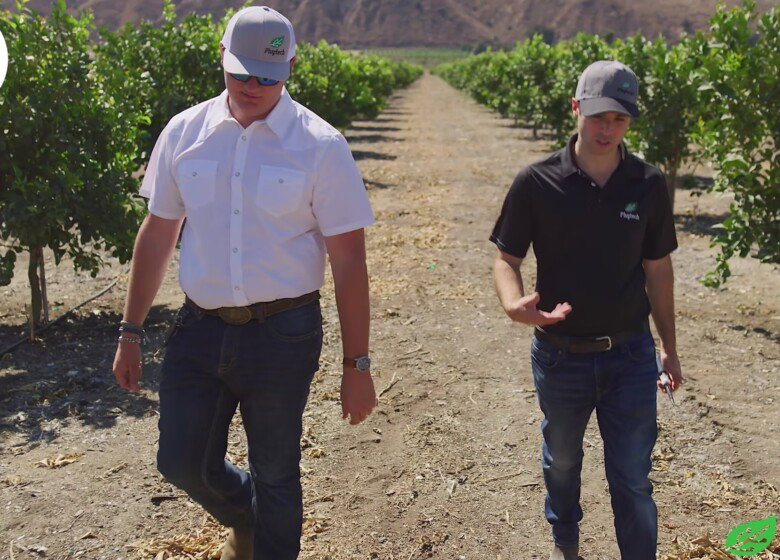 Phytech’s digital farming platform saved 132 billion gallons of water ...
