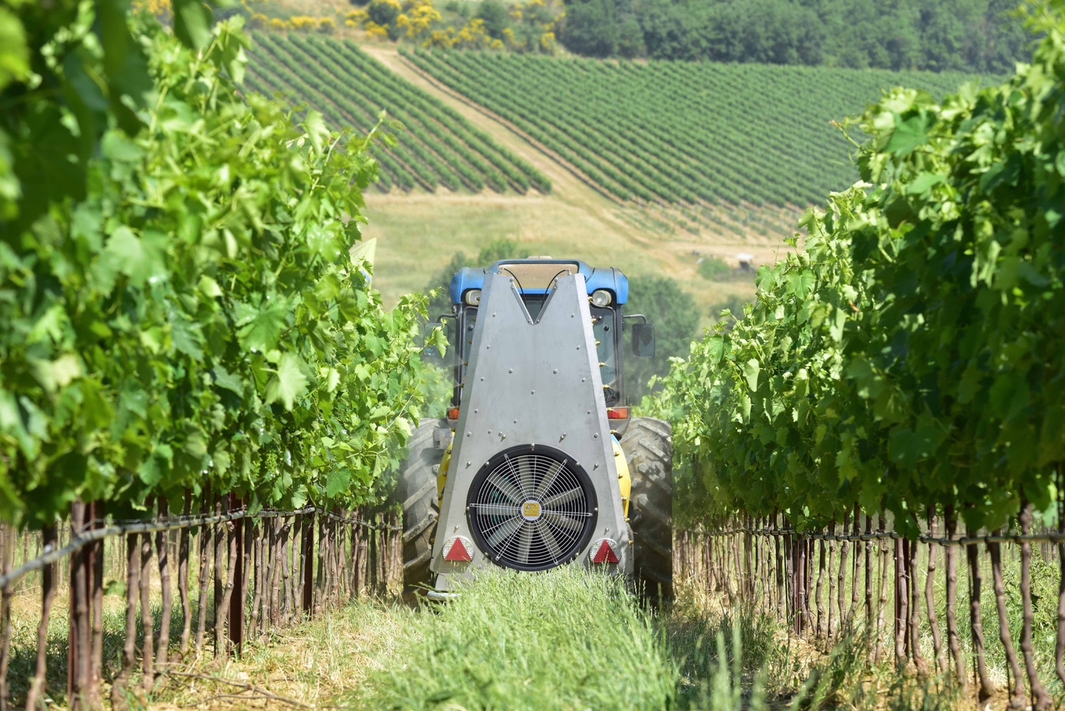 Fieldin and ARAG launch real-time precision spraying solution for ...