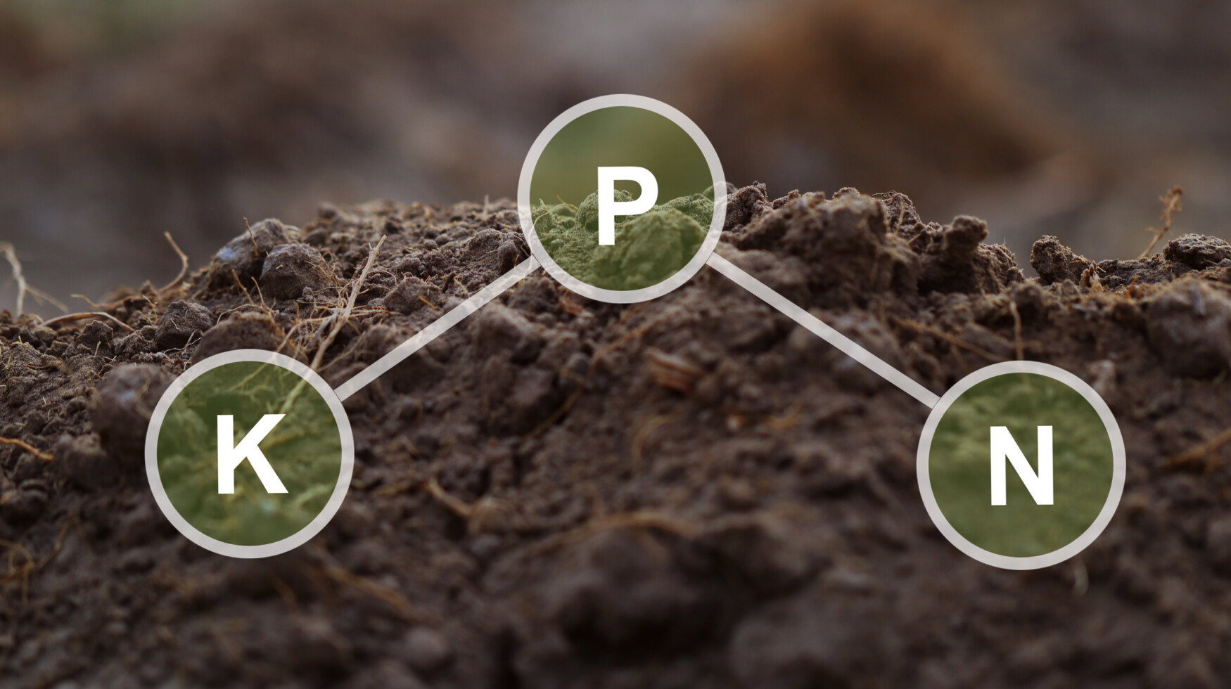 Novel fertilizers show promise for improving agricultural ...