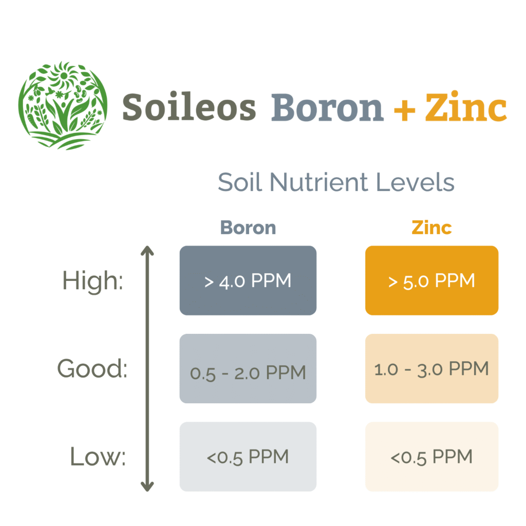 Lucent Bio introduces slow-release boron fertilizer for sustainable ...