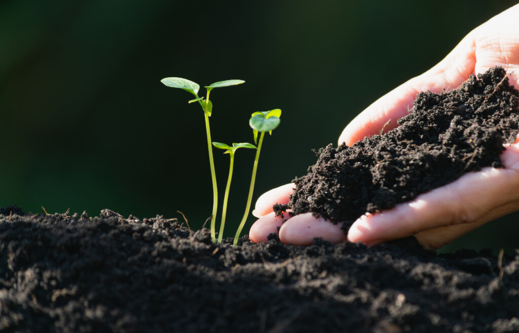 North America organic fertilizer market projected to exceed $4.7 ...