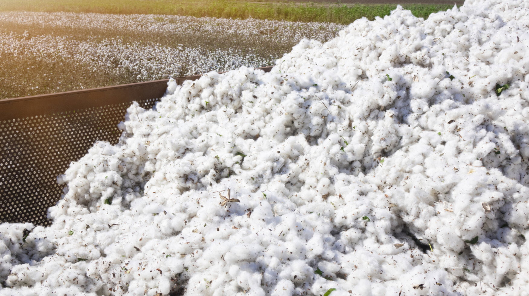 ADM and PYCO to combine Texas cottonseed facilities — Fertilizer Daily