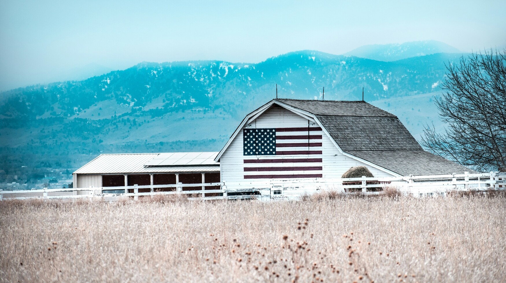 USDA launches expanded farm to school grants with record $18 million ...