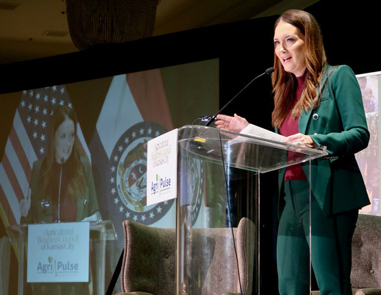 USDA Secretary Brooke Rollins outlines measures to ease farm input ...