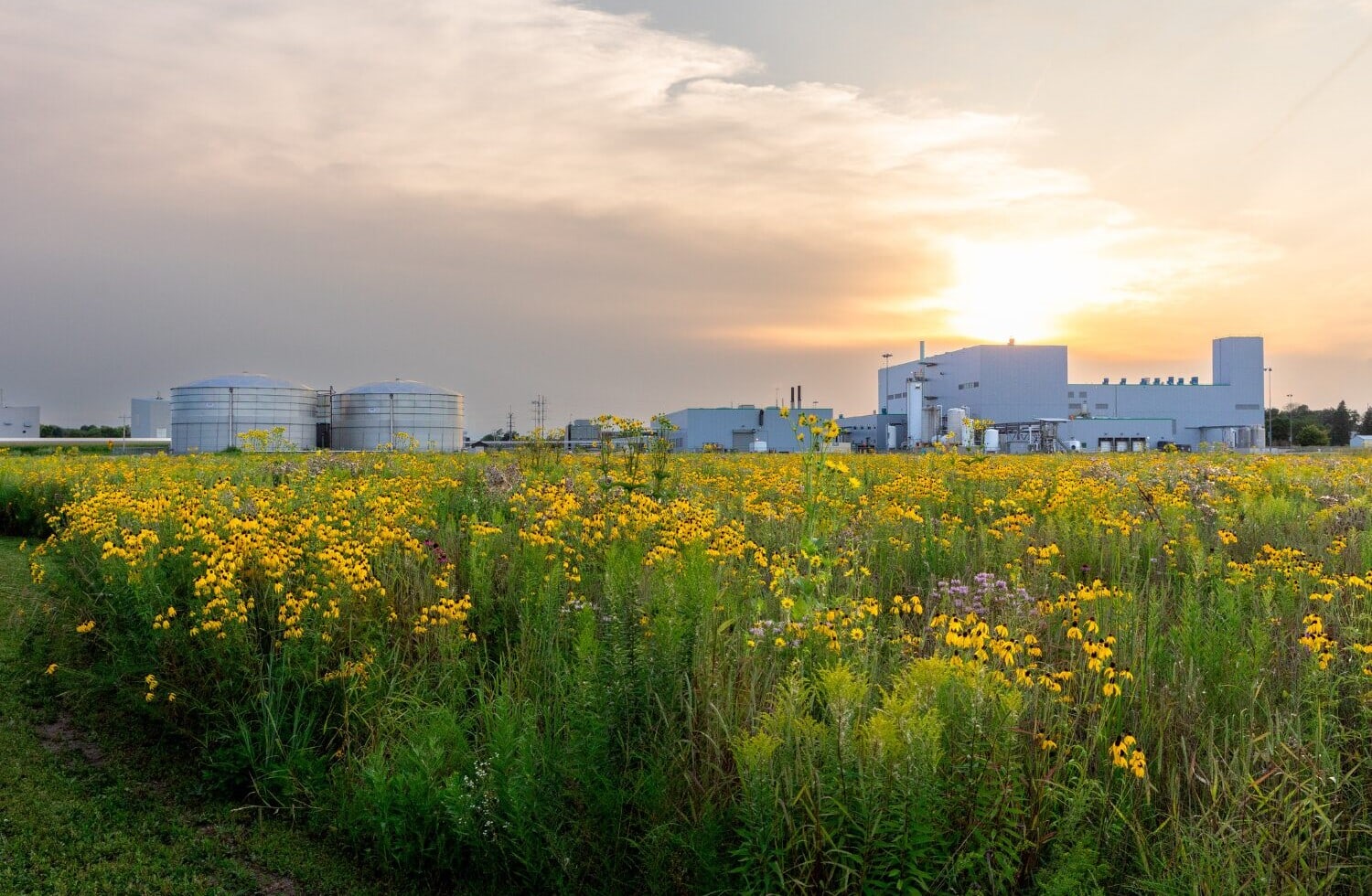 Sumitomo Chemical to merge Valent BioSciences, MGK and Valent North ...
