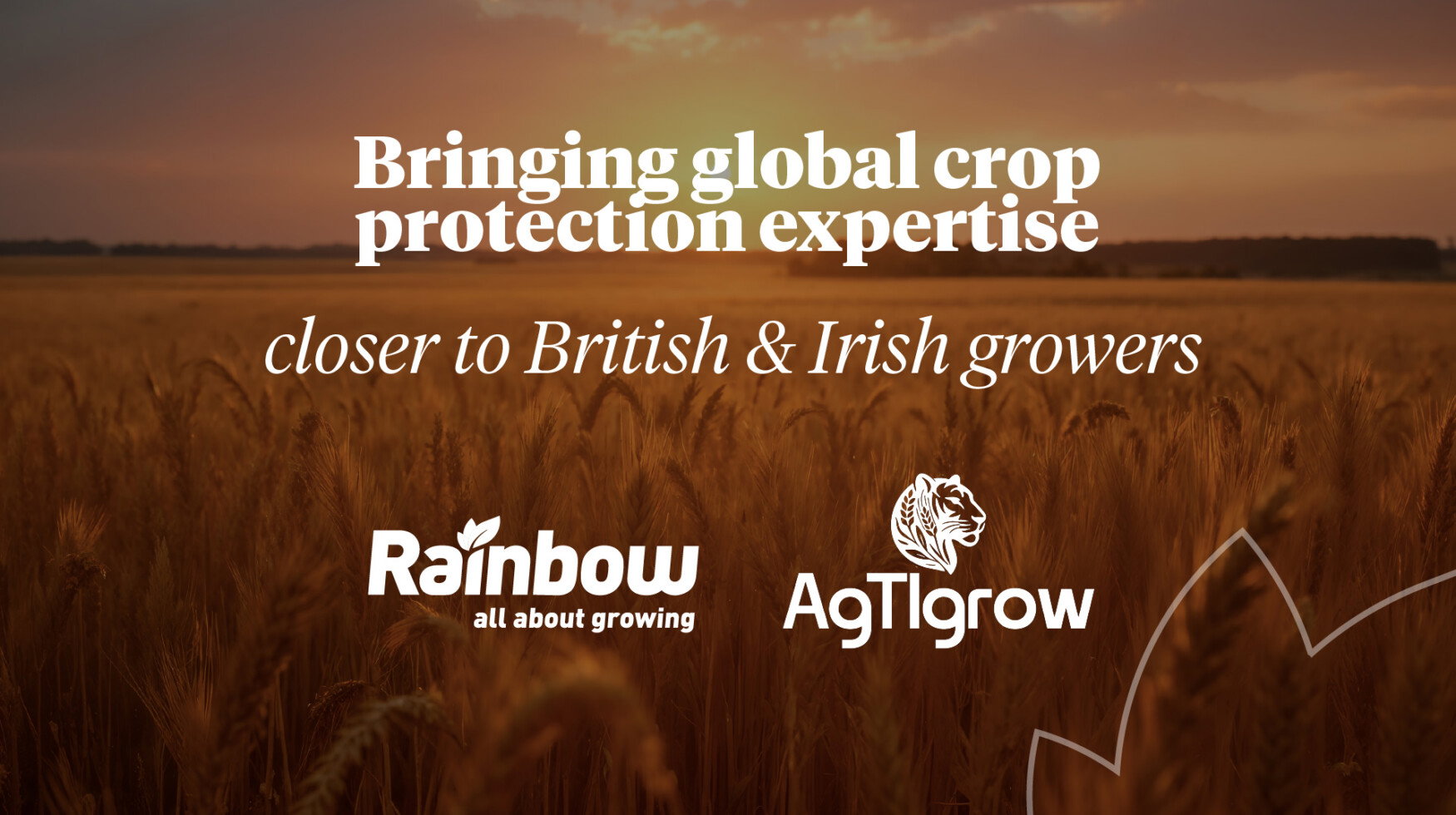 Rainbow Agro enters UK and Ireland through partnership with AgTIgrow ...