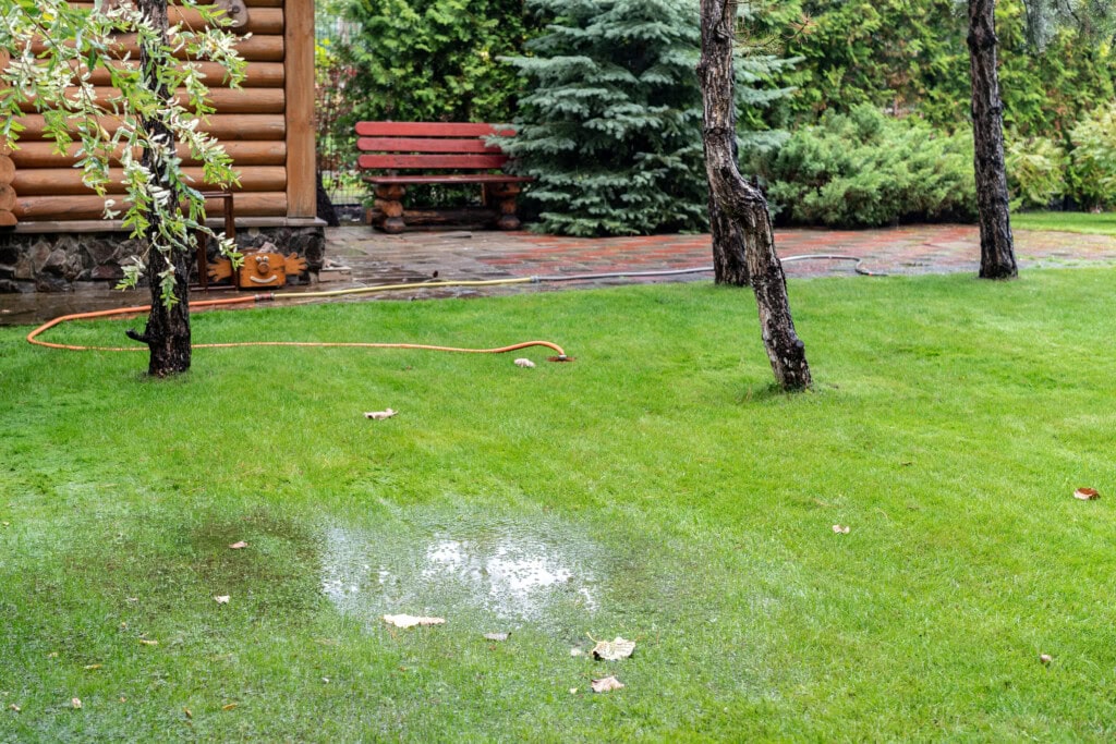 How to fix a waterlogged lawn — Fertilizer Daily