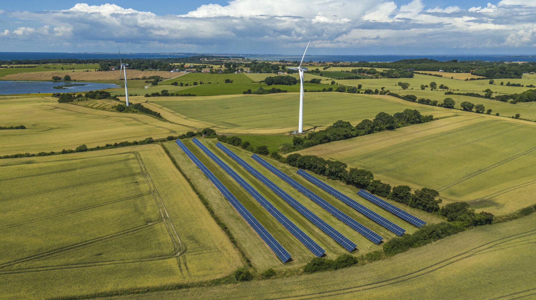 Researchers map Denmark’s environmental microbiome for the first time ...
