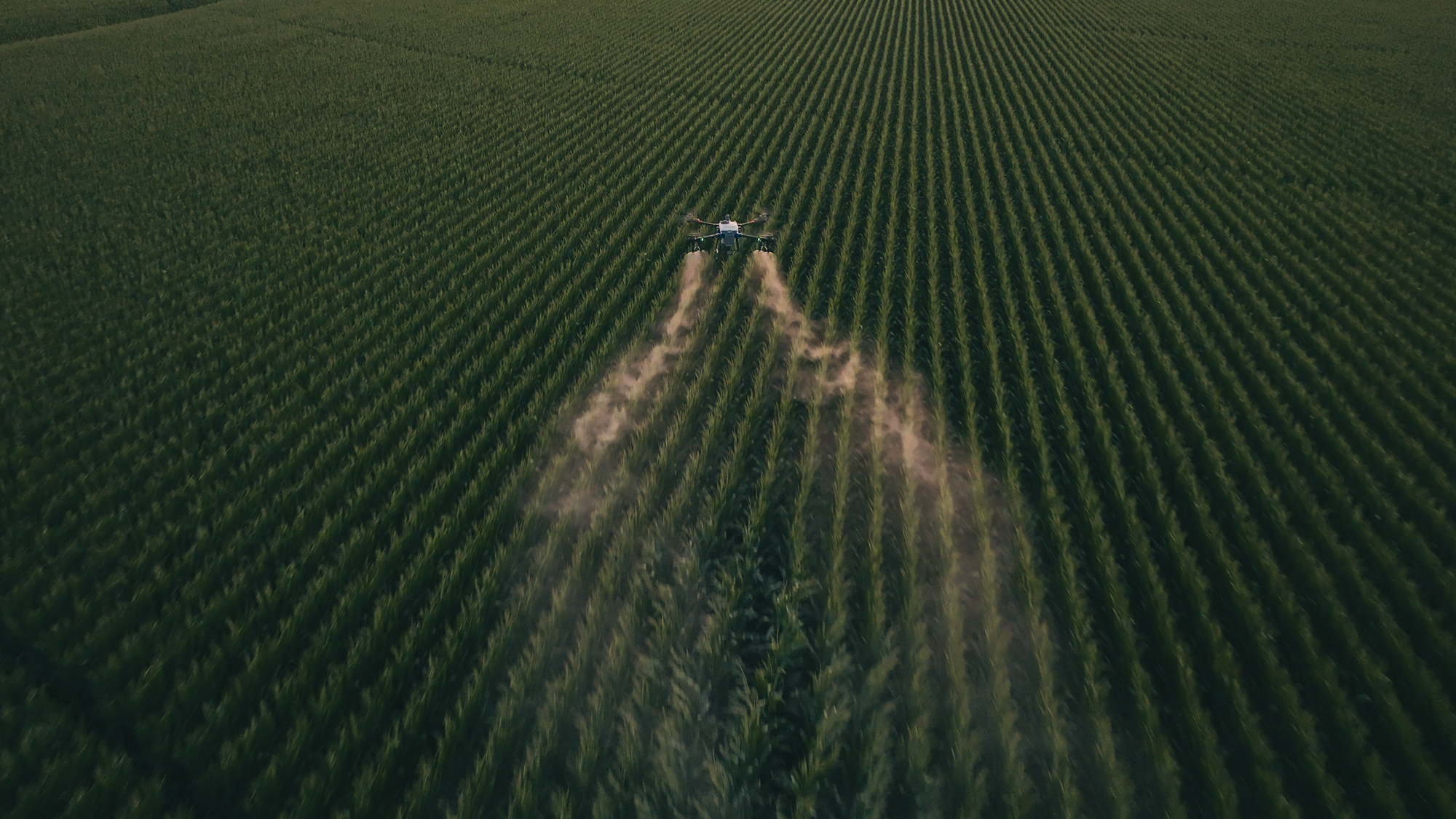 Agri Spray Drones and WinField United form marketing partnership to ...
