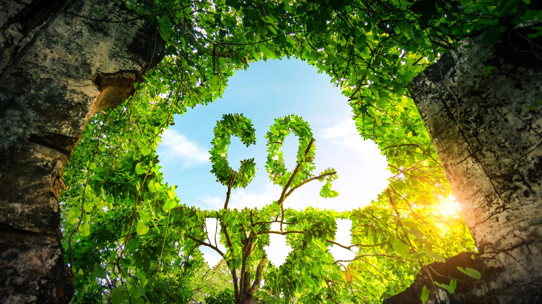 CF Industries and POET launch low-carbon fertilizer pilot — Fertilizer ...