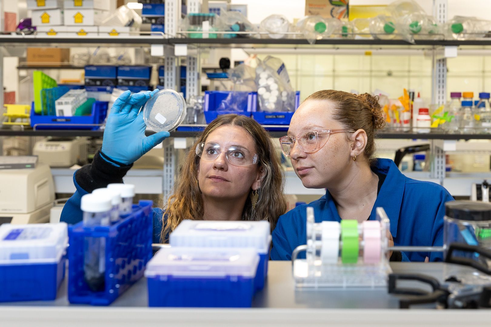 Windfall Bio's Josh Silverman: ‘We are transforming methane from a cost ...