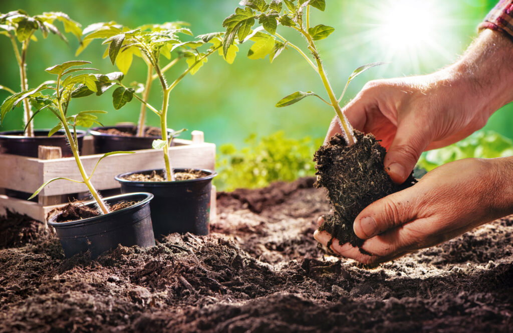 True Organic expands into retail soils with new potting and planting ...