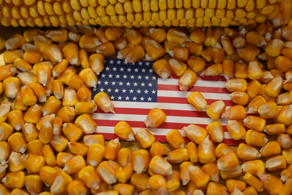 Bayer faces antitrust lawsuit over alleged monopoly in U.S. GMO corn ...