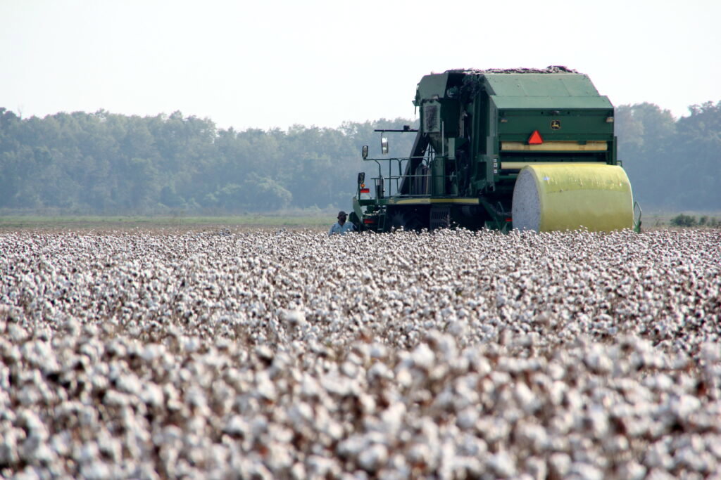 USDA unveils Great American Cotton Plan to boost farm profitability and ...