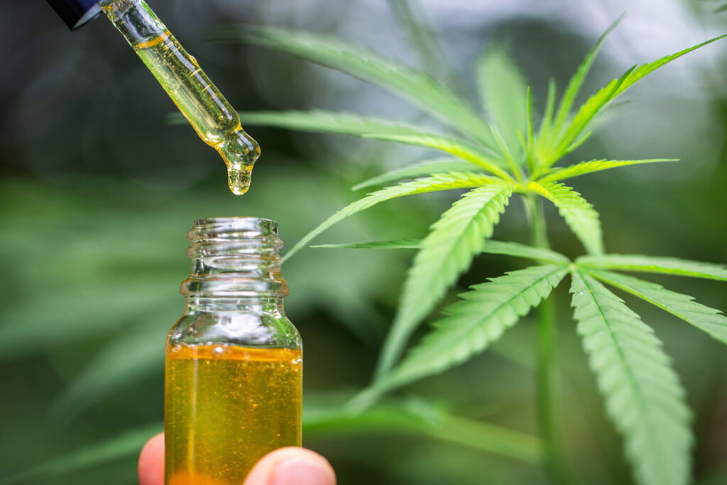 Canada launches consultation on easing industrial hemp regulations ...