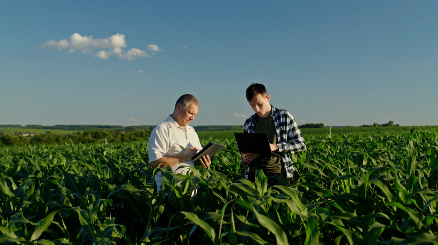 USDA opens enrollment for $1.63 billion specialty crop assistance ...