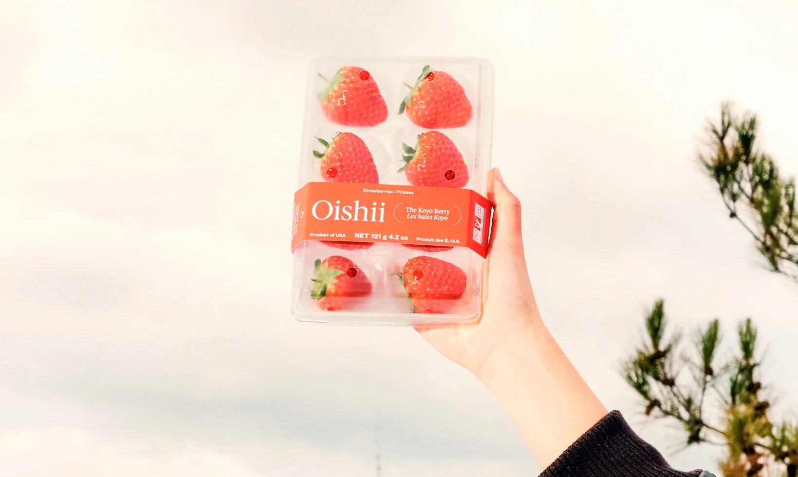 Oishii closes $150M Series C to scale gene-edited strawberry vertical ...