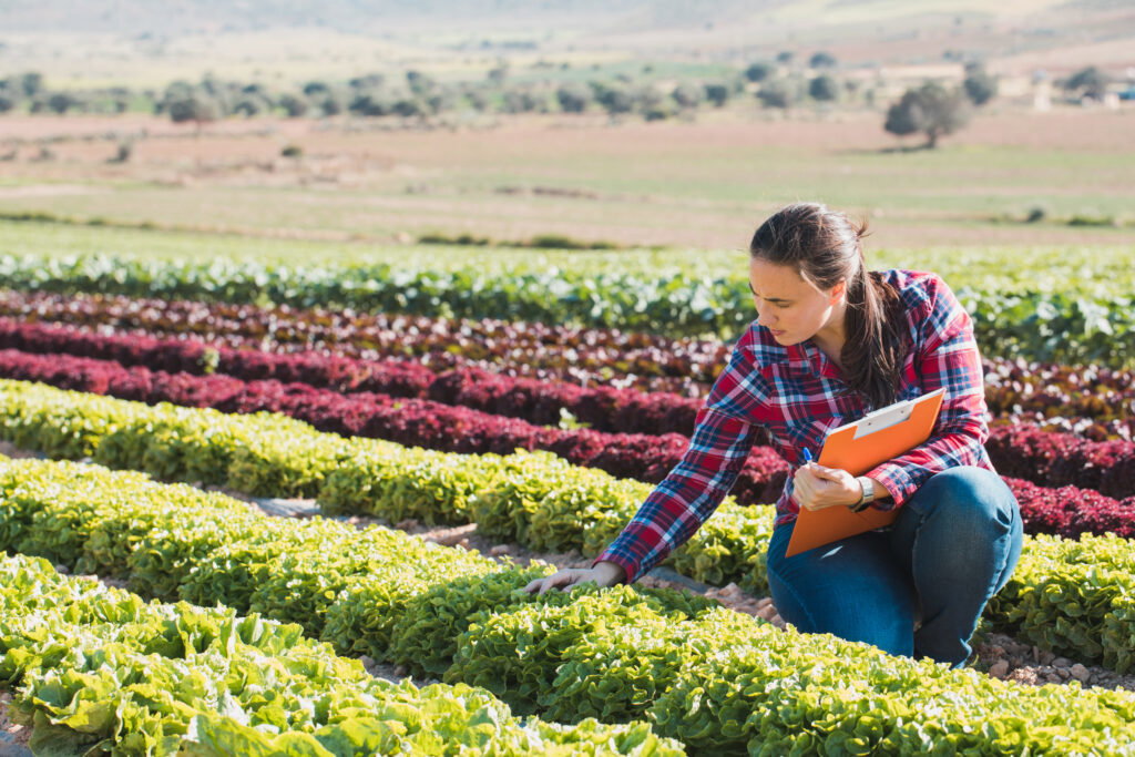 American Farm Bureau: 70% of US farmers cannot afford full fertilizer ...