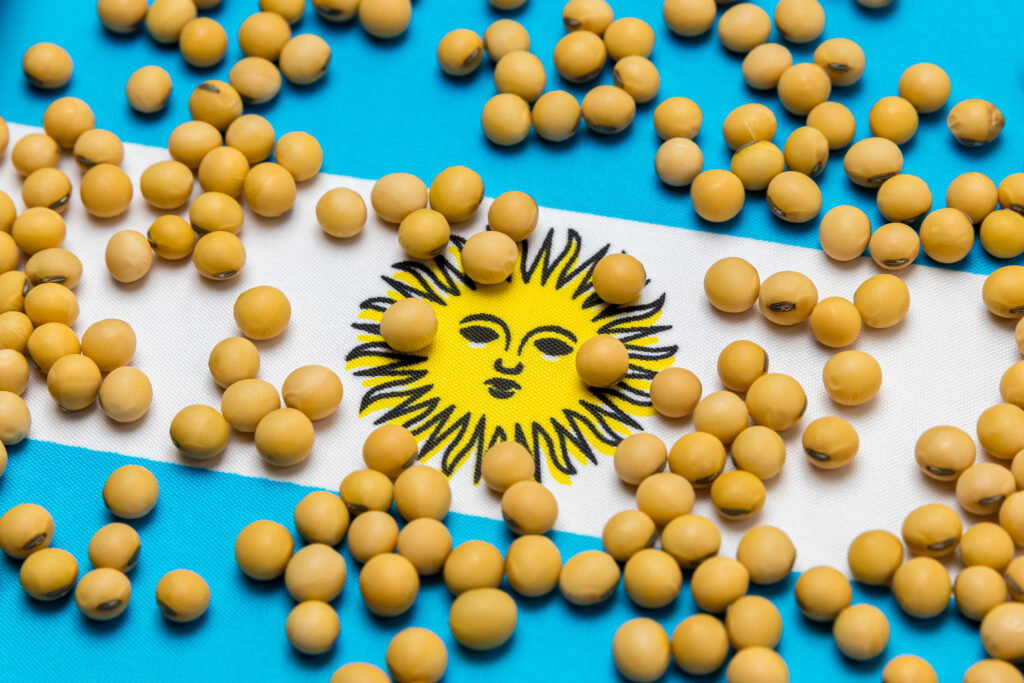 Argentina cuts export taxes on grains and outlines further reductions ...